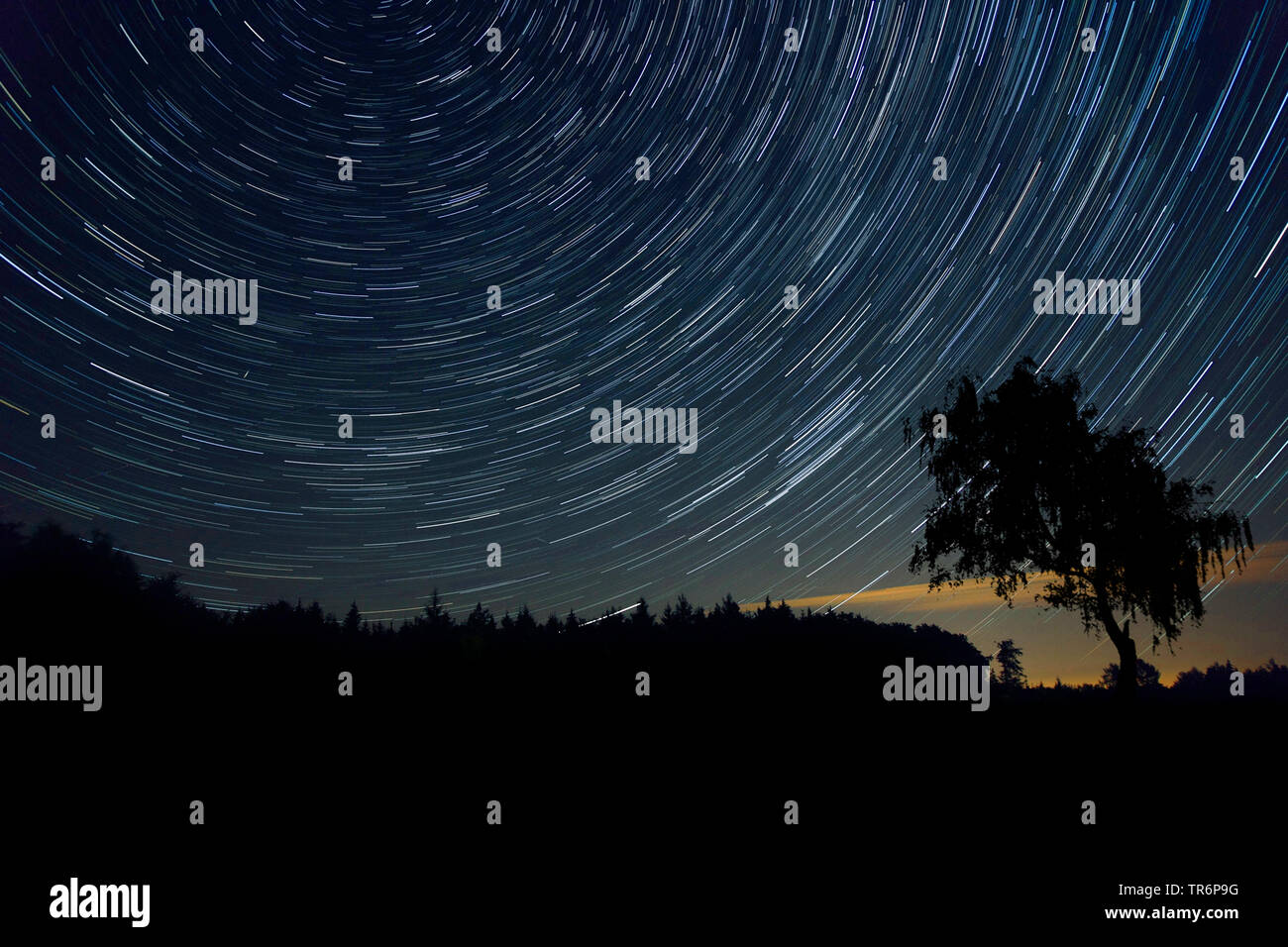 night sky with star trails, Germany, Bavaria Stock Photo - Alamy