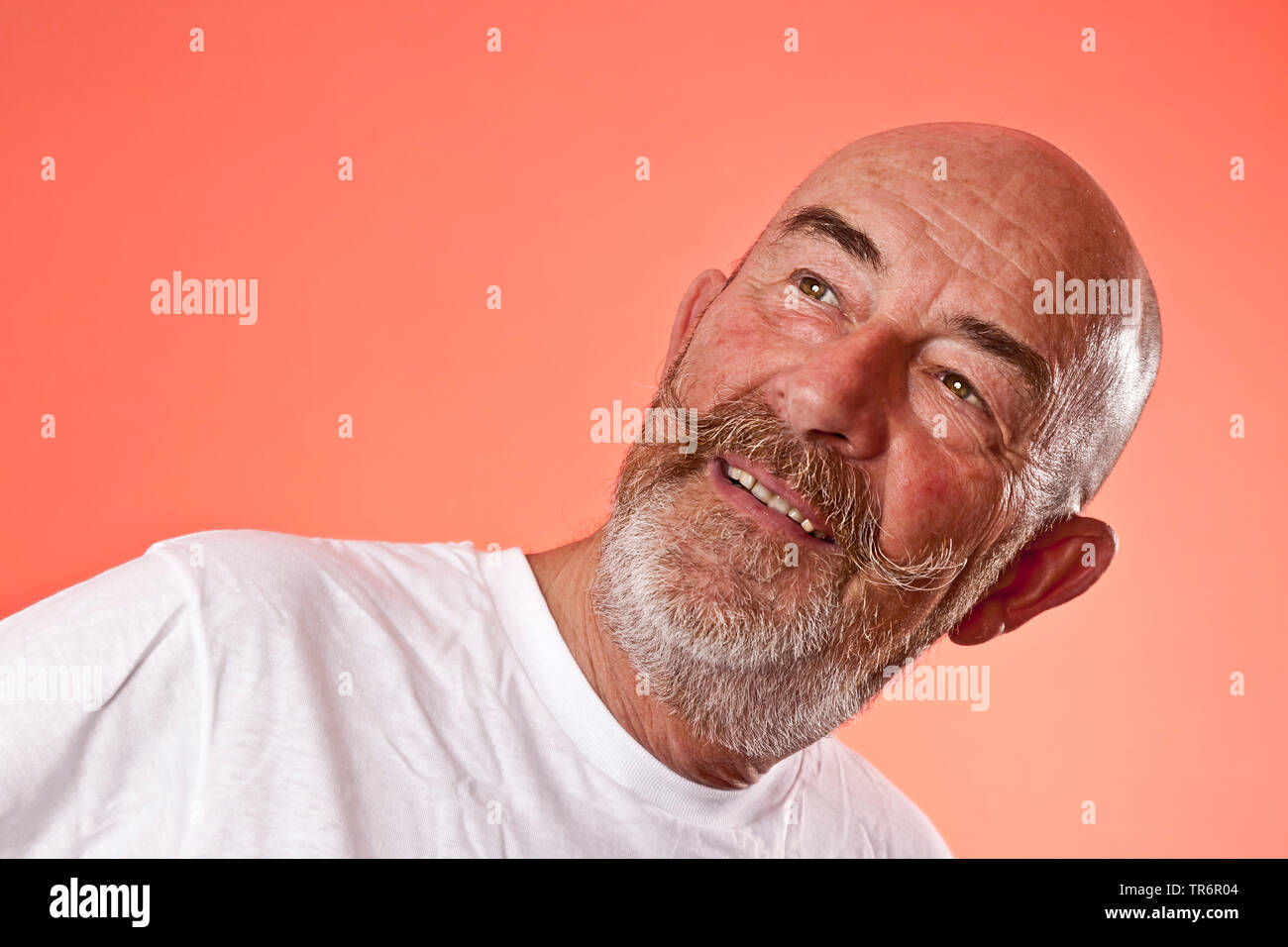 old man with bald head and grey beard, Germany, Bavaria Stock Photo - Alamy