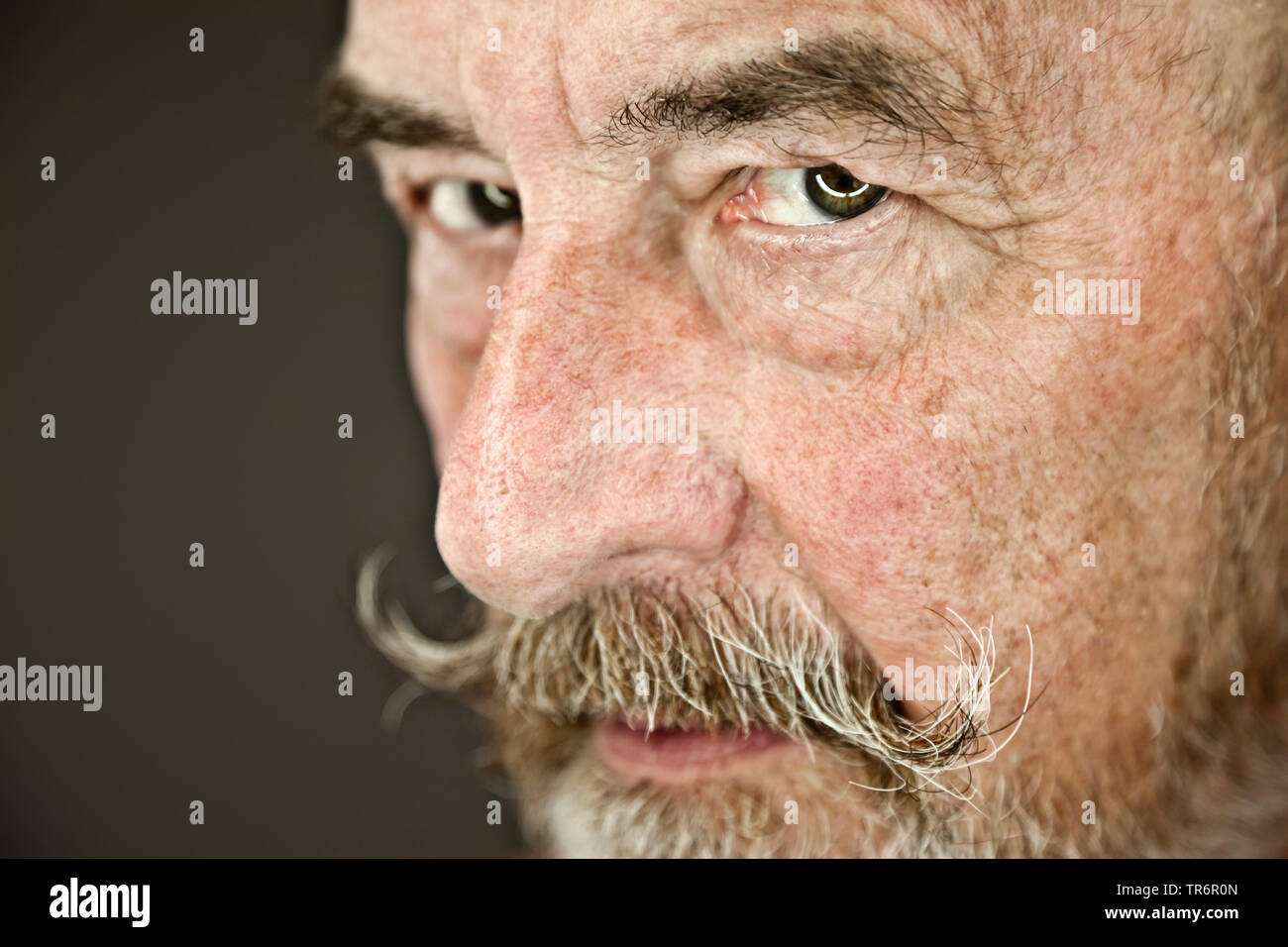 old man with bald head and grey beard looking obstinate, Germany ...