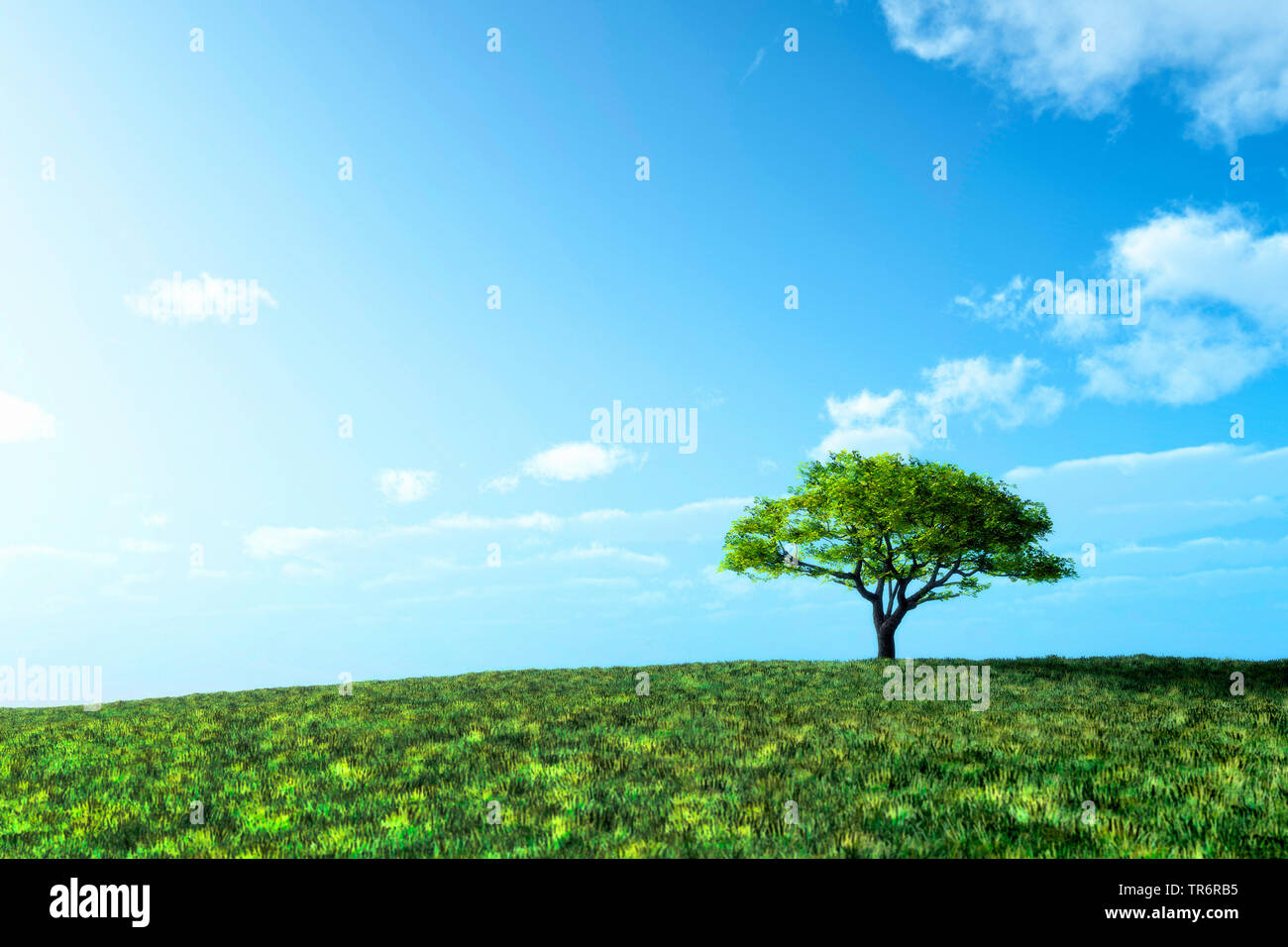 Tree trees charts hi-res stock photography and images - Alamy