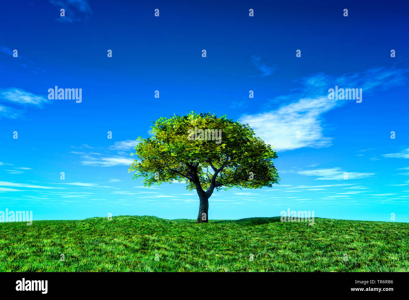 single leaf tree in a meadow in summer, computer graphic Stock Photo ...