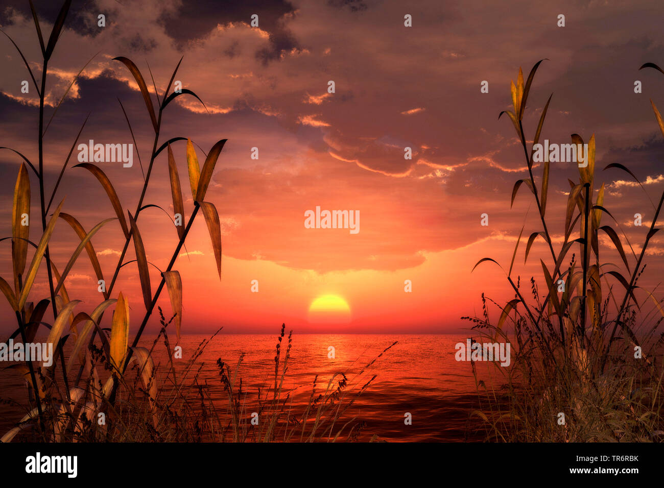 virtual landscape, ocean in sunset Stock Photo - Alamy