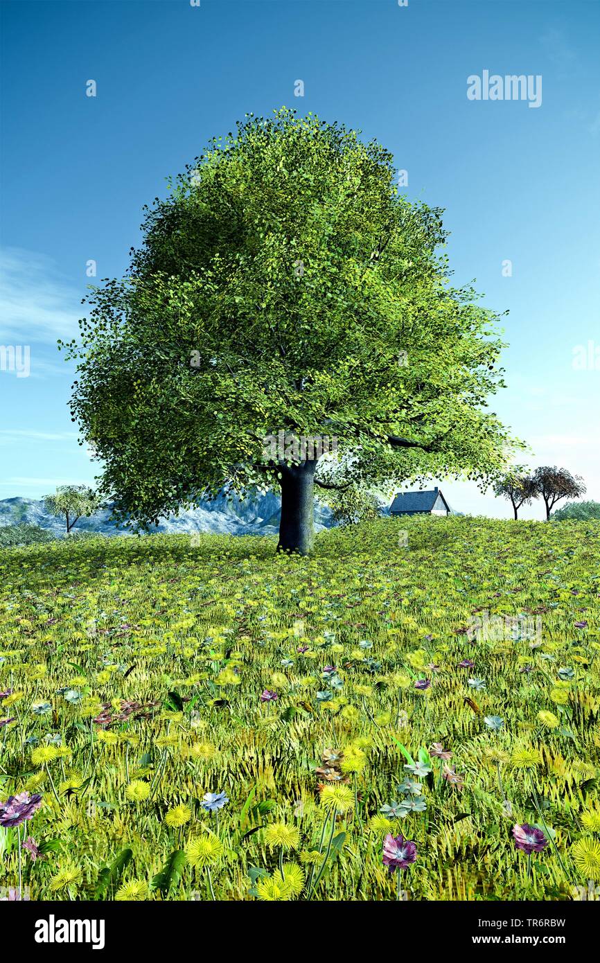 3d illustrations of flowers hi-res stock photography and images - Alamy