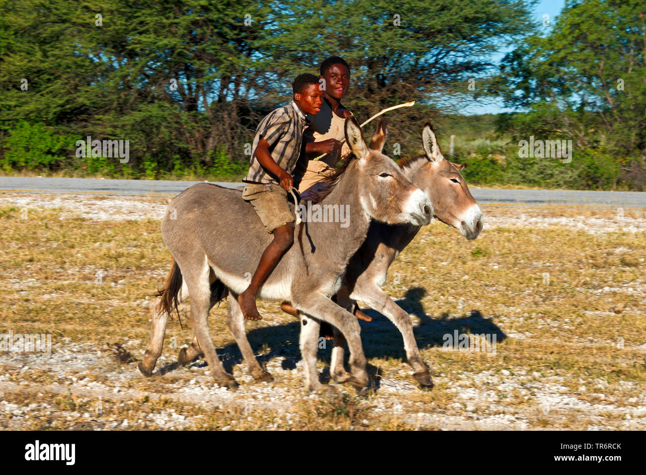 Two boys riding horses hi-res stock photography and images - Alamy