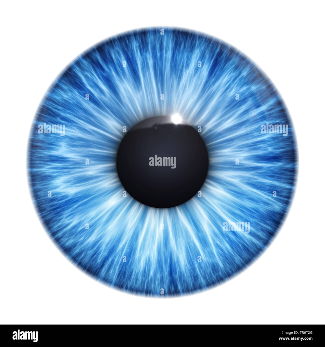 people, human beings, humans (Homo sapiens sapiens), blue eye ball with ...