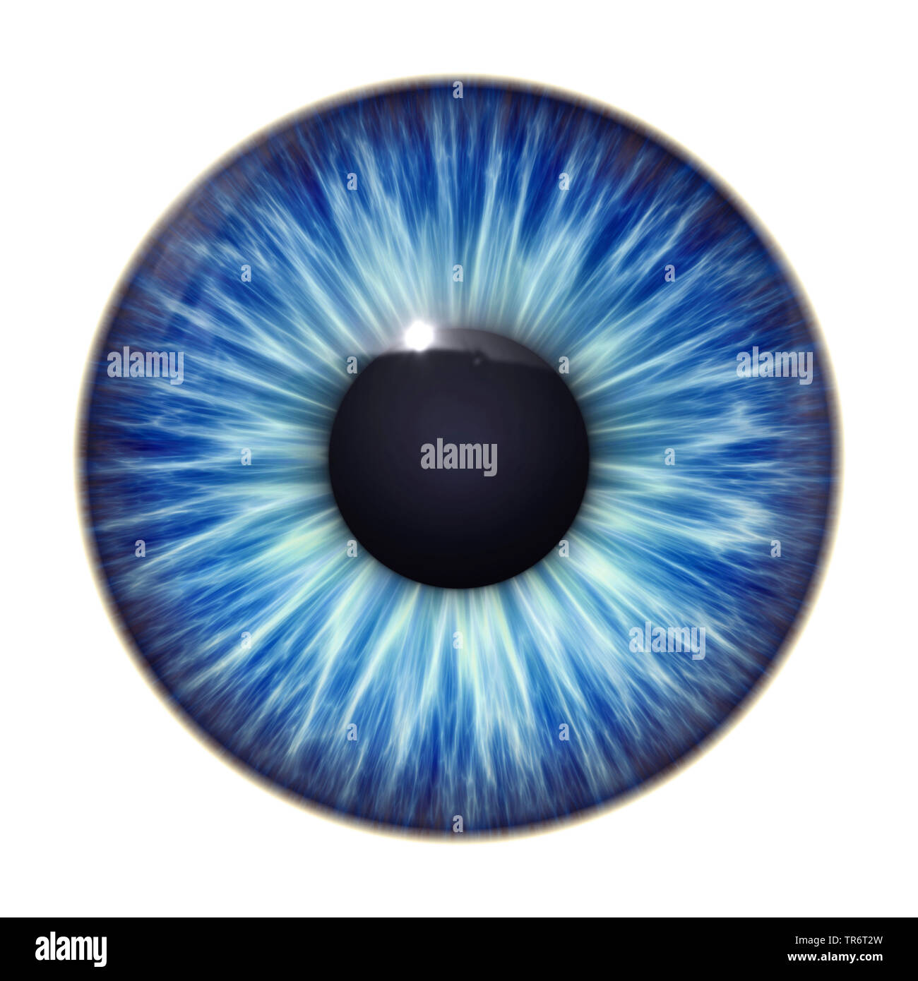 people, human beings, humans (Homo sapiens sapiens), blue eye ball with ...