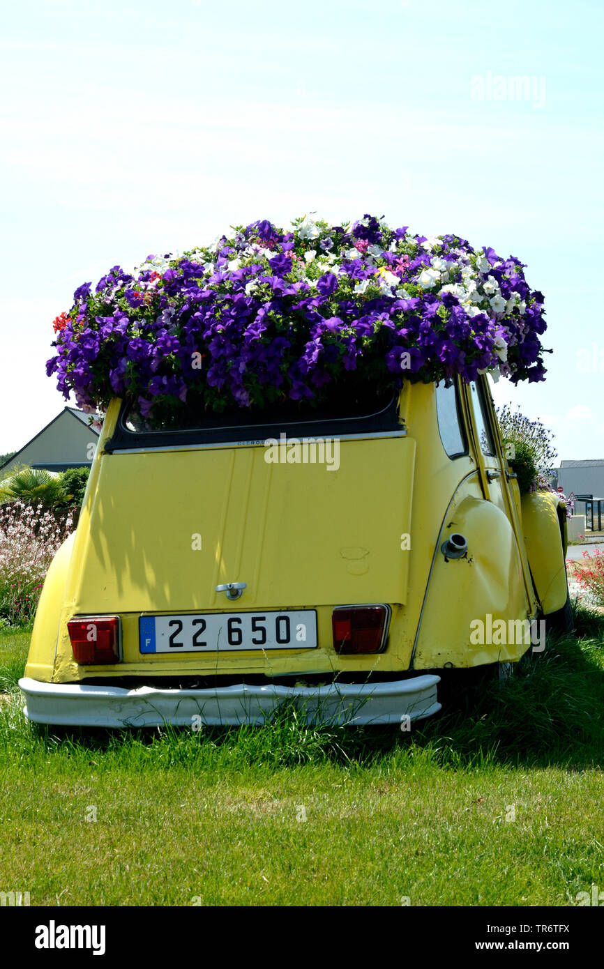 Car back side parking hi-res stock photography and images - Alamy
