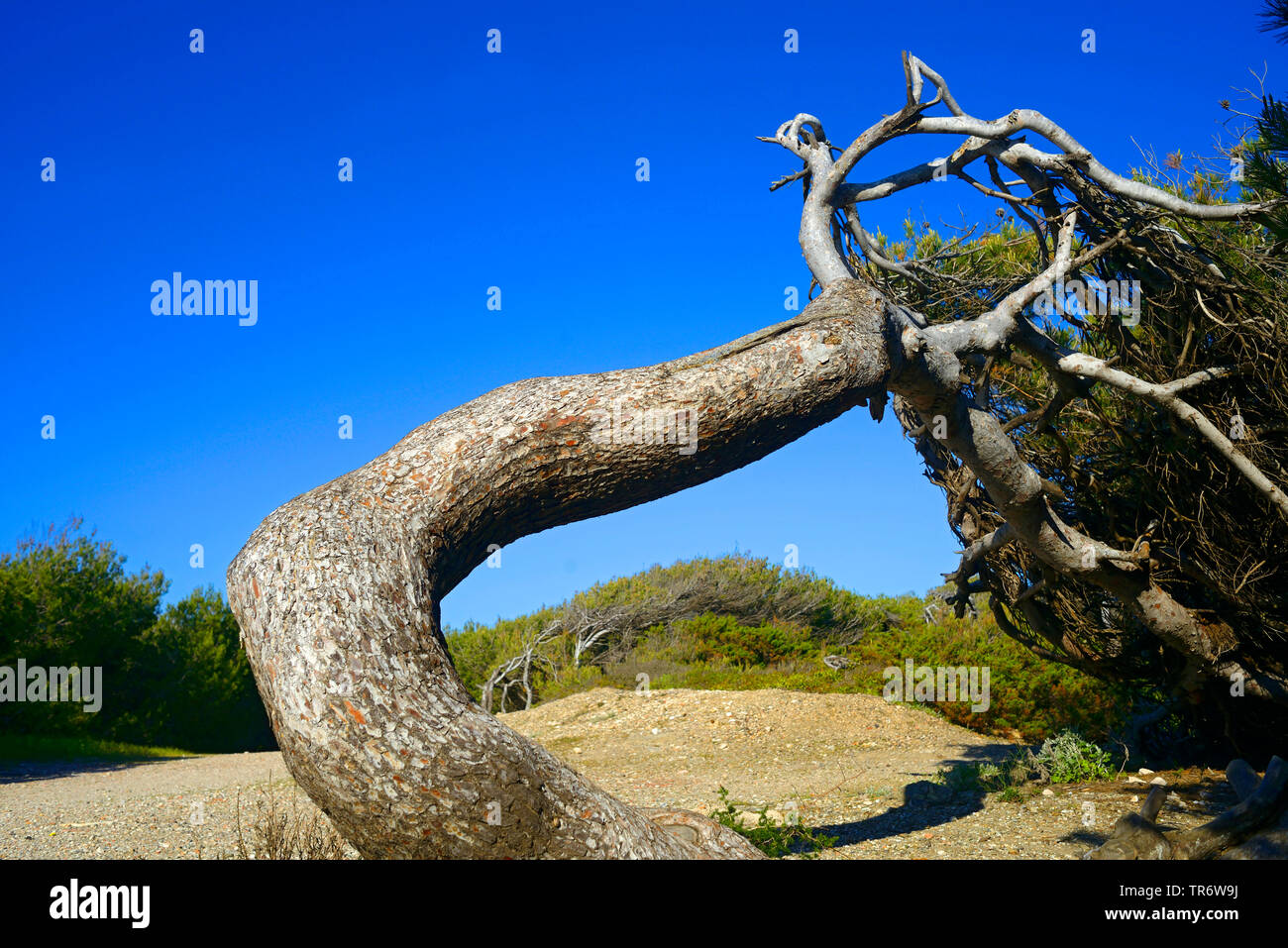 Warped hi-res stock photography and images - Alamy