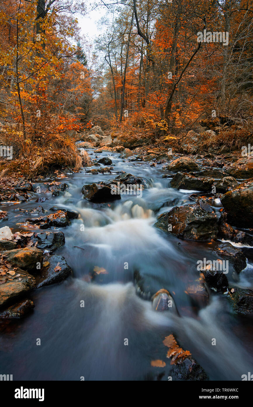 Hockai hi-res stock photography and images - Alamy