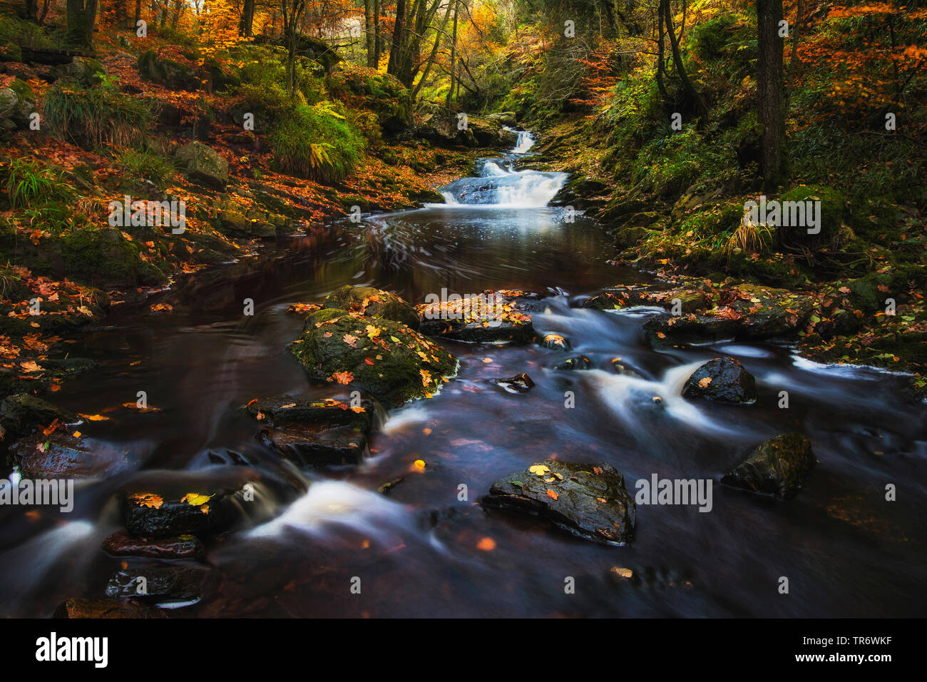 Hockai hi-res stock photography and images - Alamy