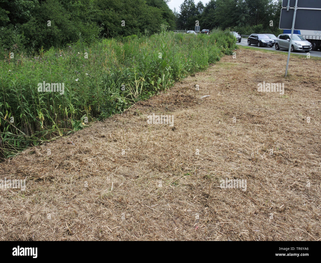 Mulched hi-res stock photography and images - Alamy