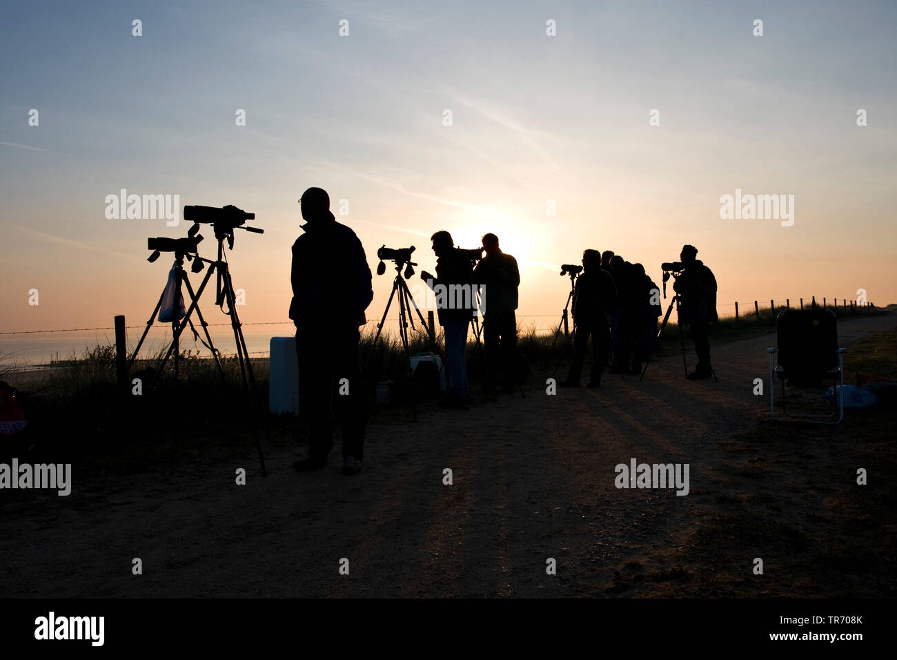 Birdwatchers in action, Netherlands, Breskens Stock Photo - Alamy