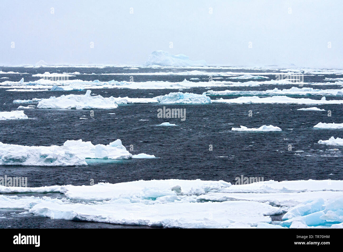 Drift ice, Antarctica Stock Photo - Alamy