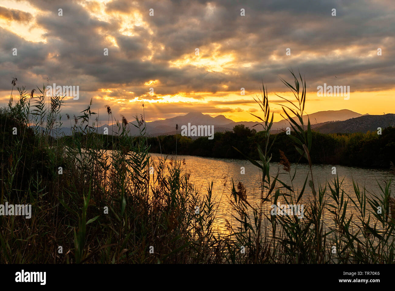 Parque natural de la albufera hi-res stock photography and images - Alamy