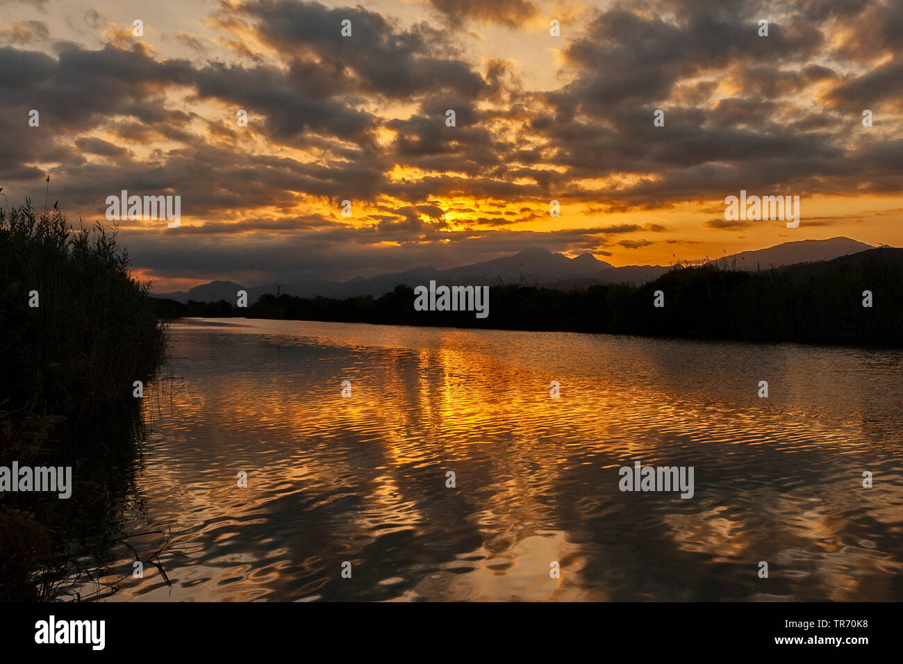 Nationalpark von albufera hi-res stock photography and images - Alamy