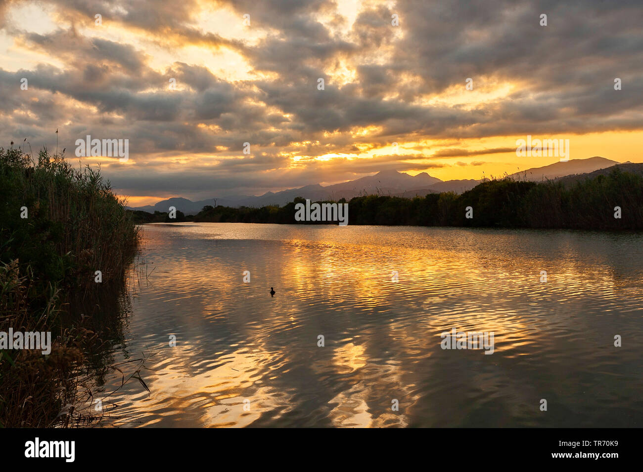 Wetland in the nature reserve s'Albufera at sunset, Spain, Balearic ...