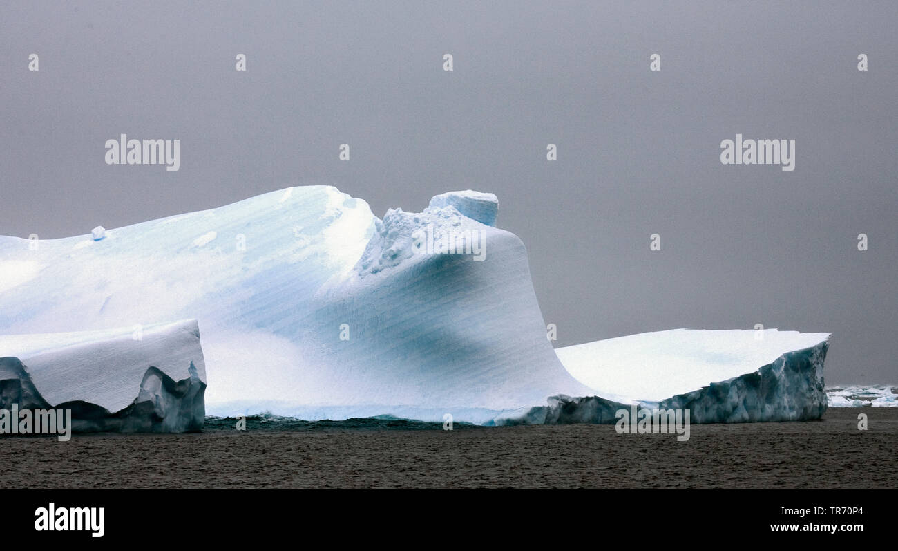 Weddel High Resolution Stock Photography and Images - Alamy