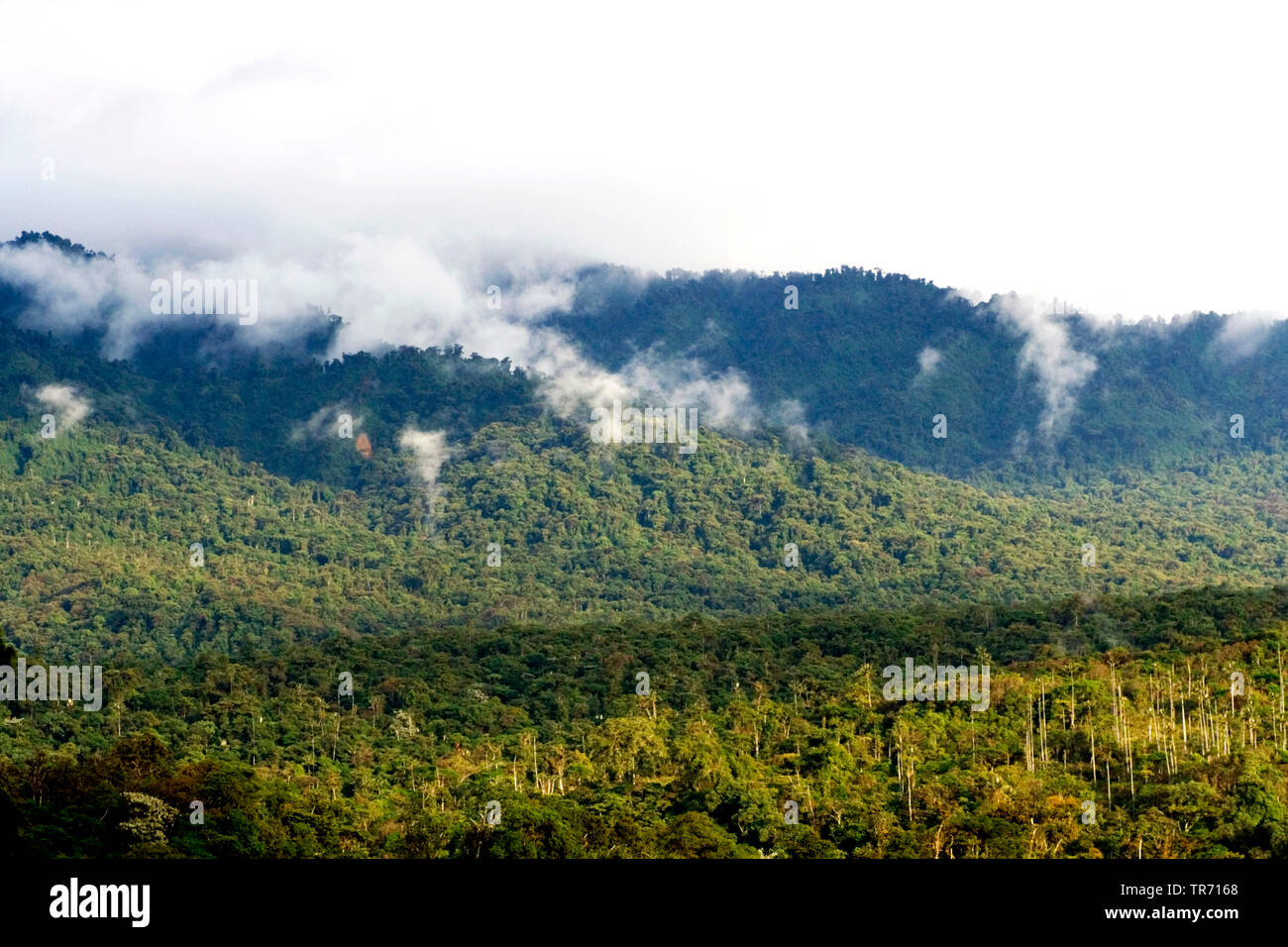 Tropical mountain slope hi-res stock photography and images - Alamy