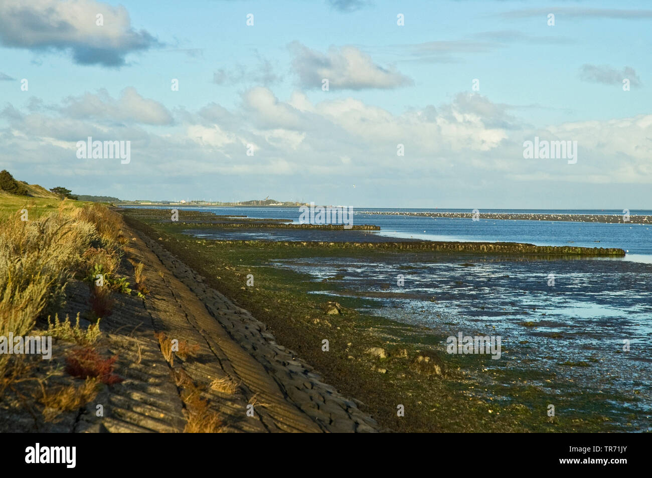 Dutch dikes hi-res stock photography and images - Alamy