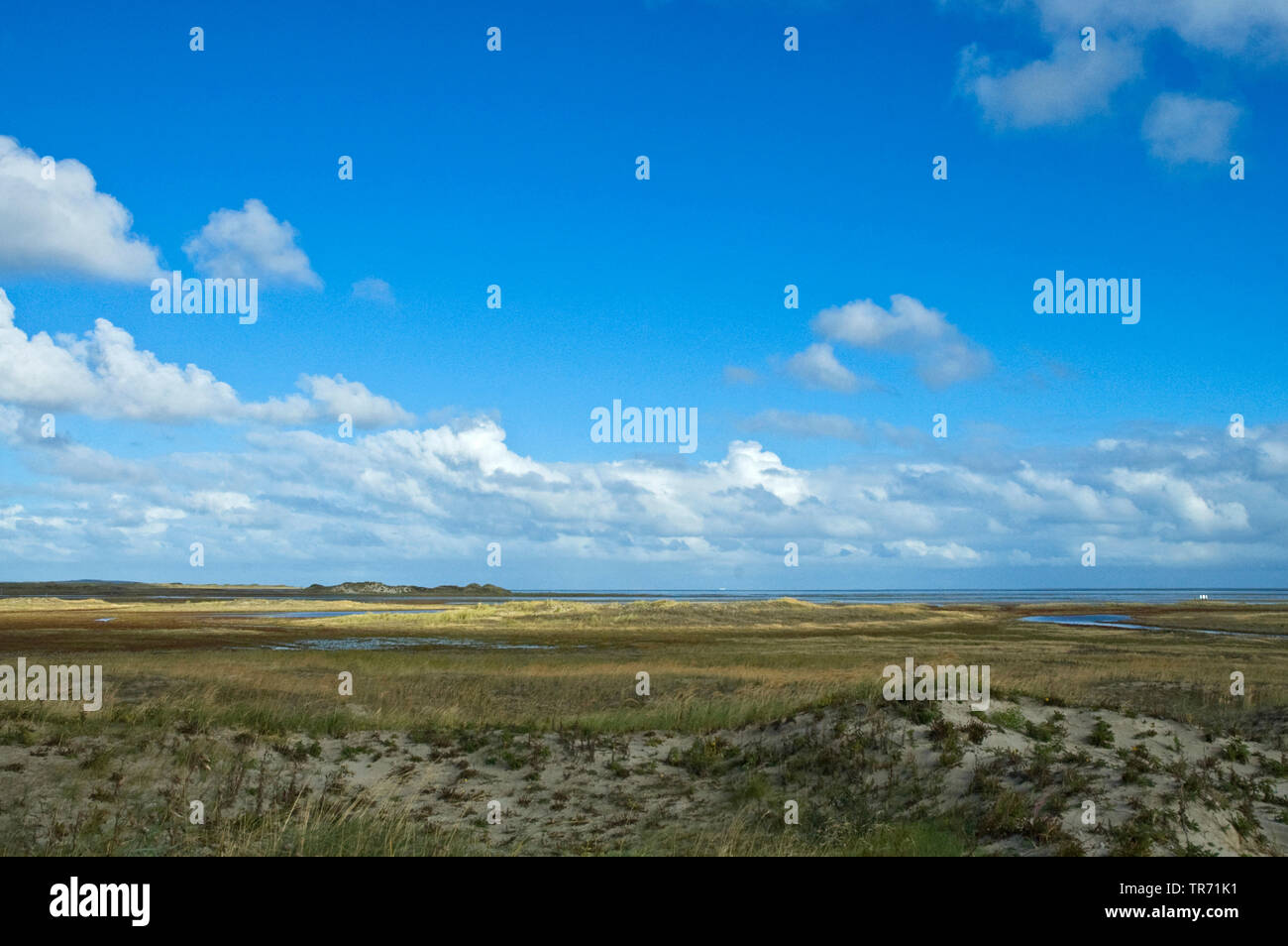 Vliehorst on Vlieland, Netherlands, Frisia, Vlieland Stock Photo - Alamy