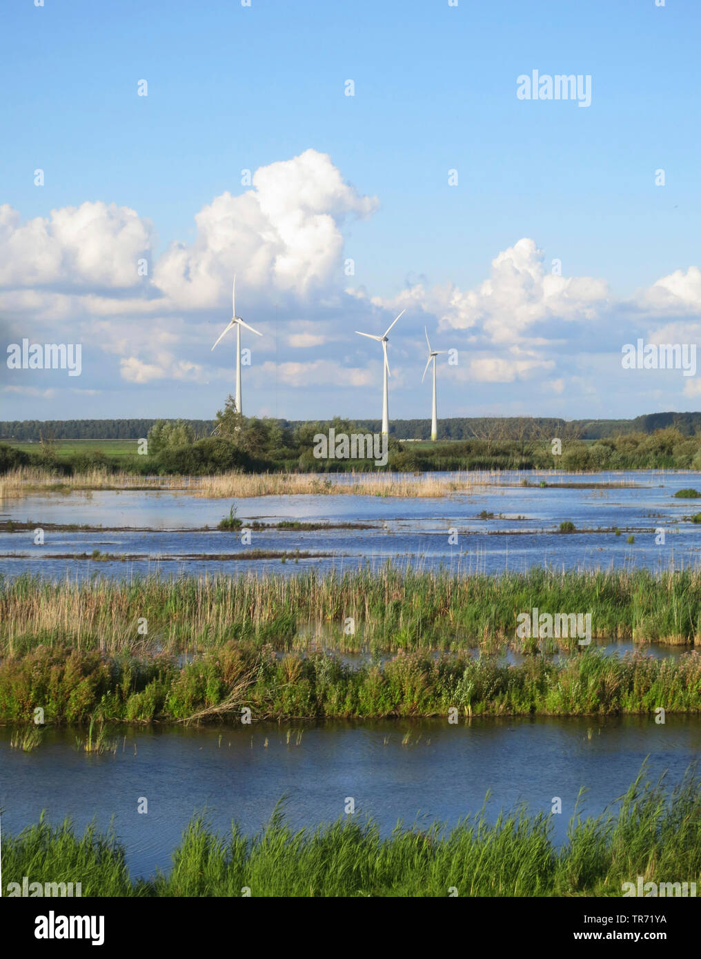 Harderbroek with wind wheels, Netherlands, Flevopolder, Harderwijk ...