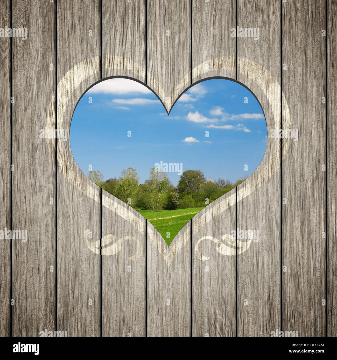 Carve a heart hi-res stock photography and images - Alamy
