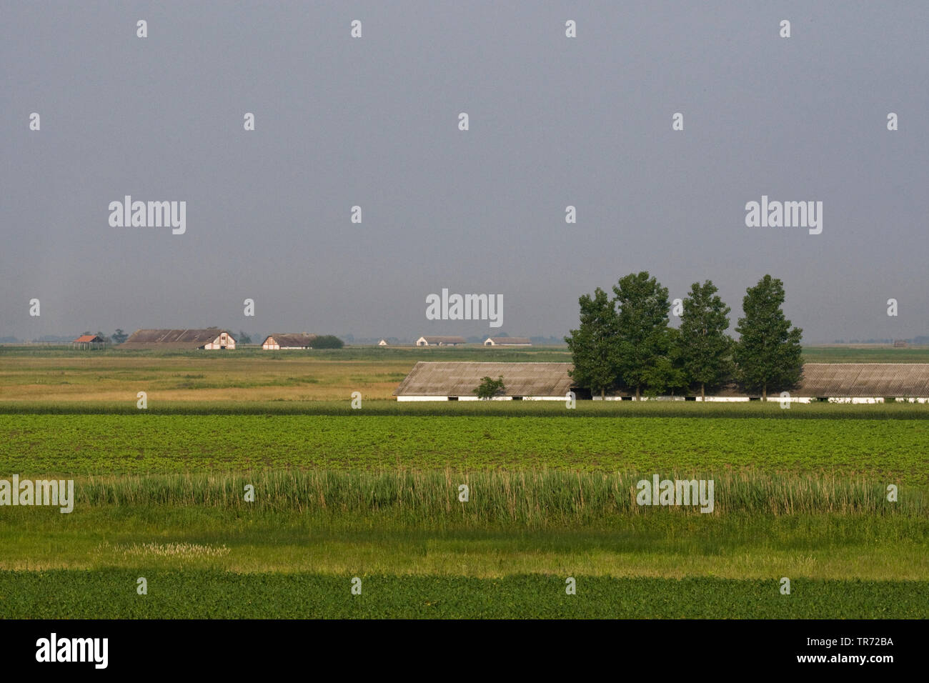 Farmland at Hortobagy, Hungary, Hortobagy Stock Photo - Alamy