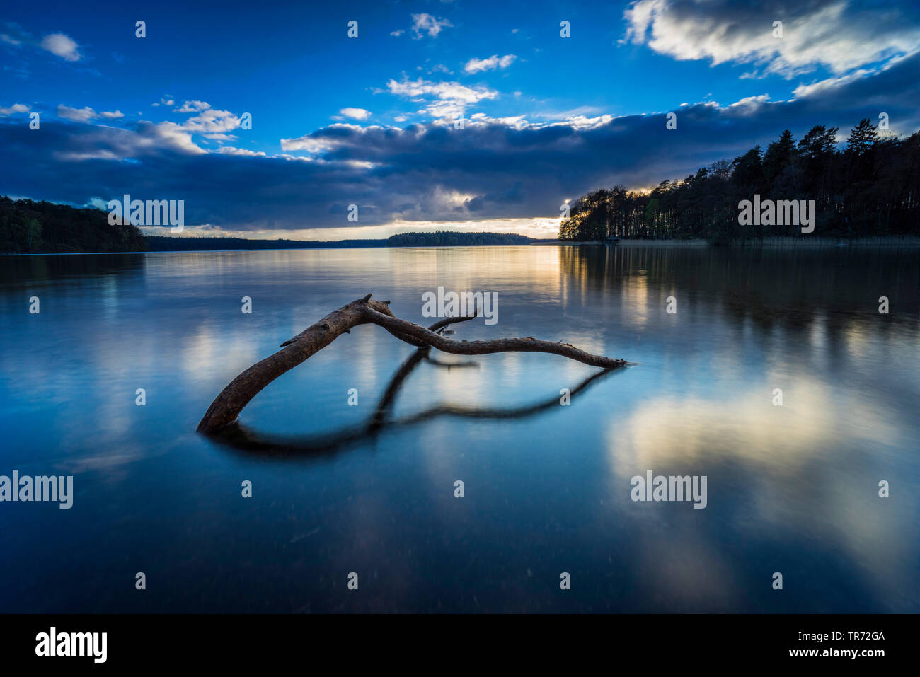 Grosser stechlinsee hi-res stock photography and images - Alamy
