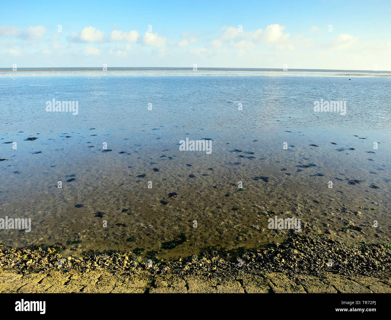 Dutch wadden sea hi-res stock photography and images - Alamy