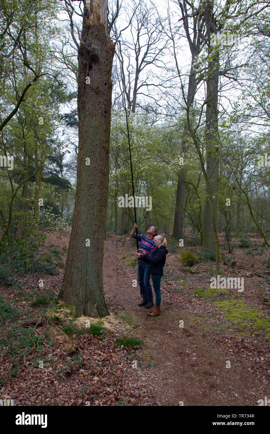 Scouting netherlands hi-res stock photography and images - Alamy