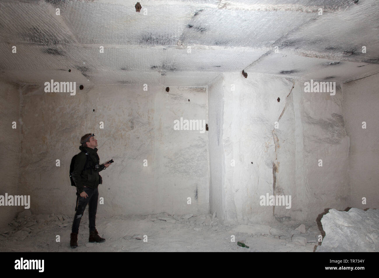 Bat cave scientist hi-res stock photography and images - Alamy