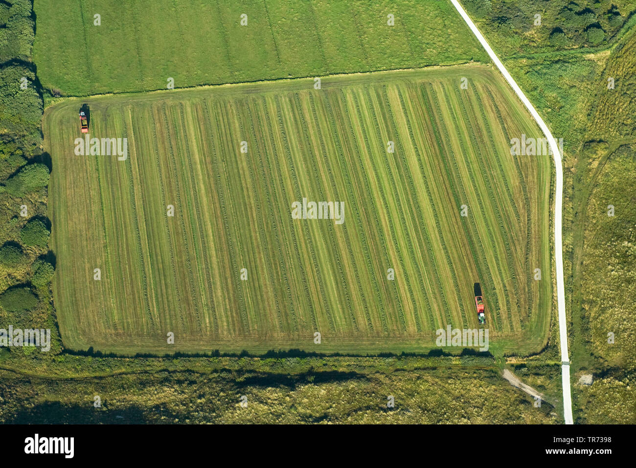 field on Terschelling, aerial photo, Netherlands, Terschelling Stock ...