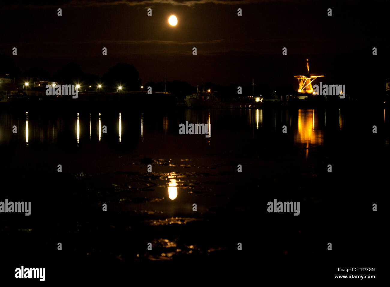 bat habitat at night, Netherlands Stock Photo - Alamy