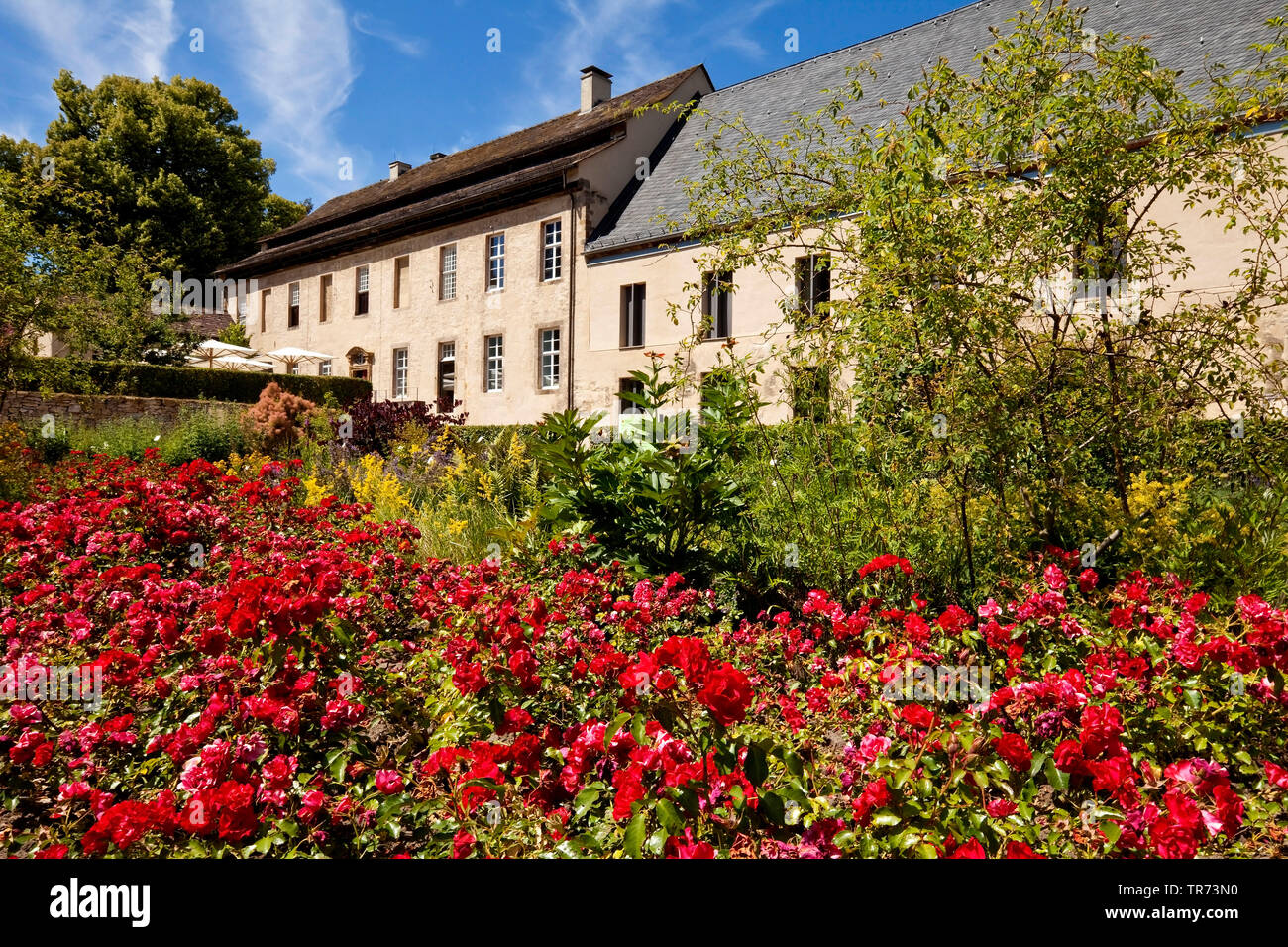 German monastery 15th century hi-res stock photography and images - Alamy