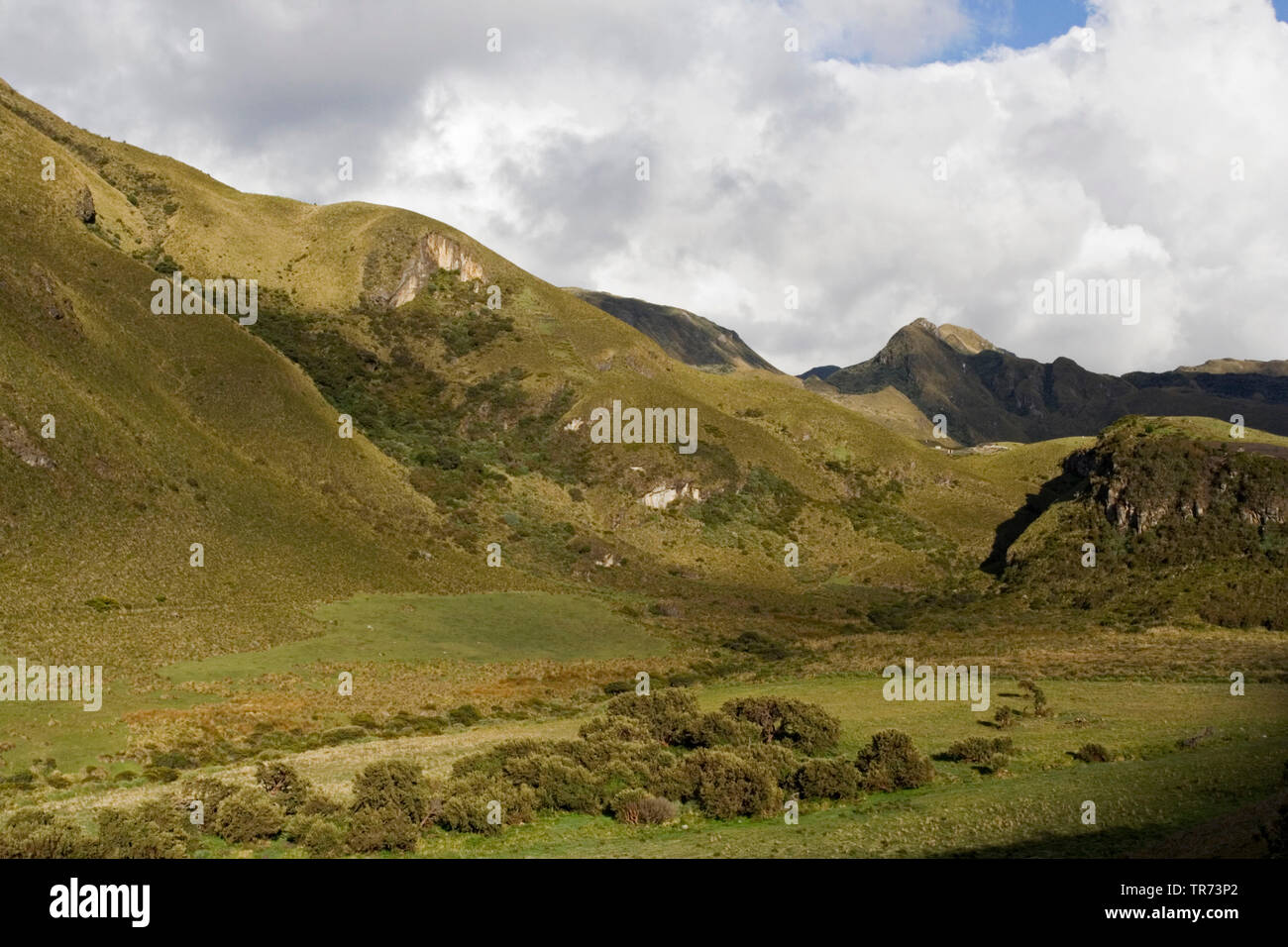 Papallacta Pass, Ecuador, Quito Stock Photo - Alamy