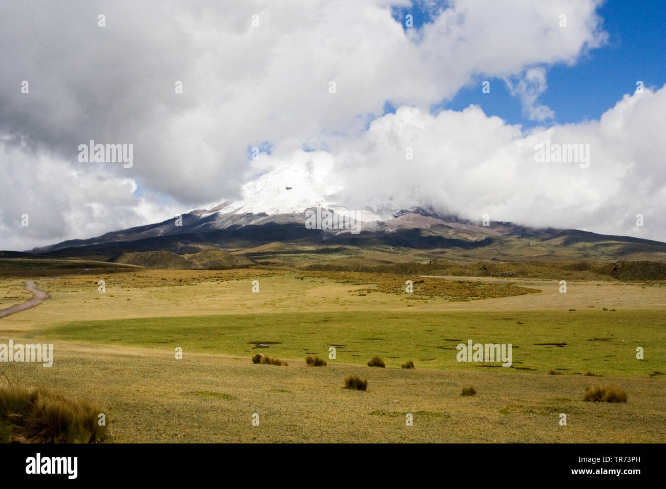 Antisana Reserve, Ecuador, Andes Stock Photo - Alamy