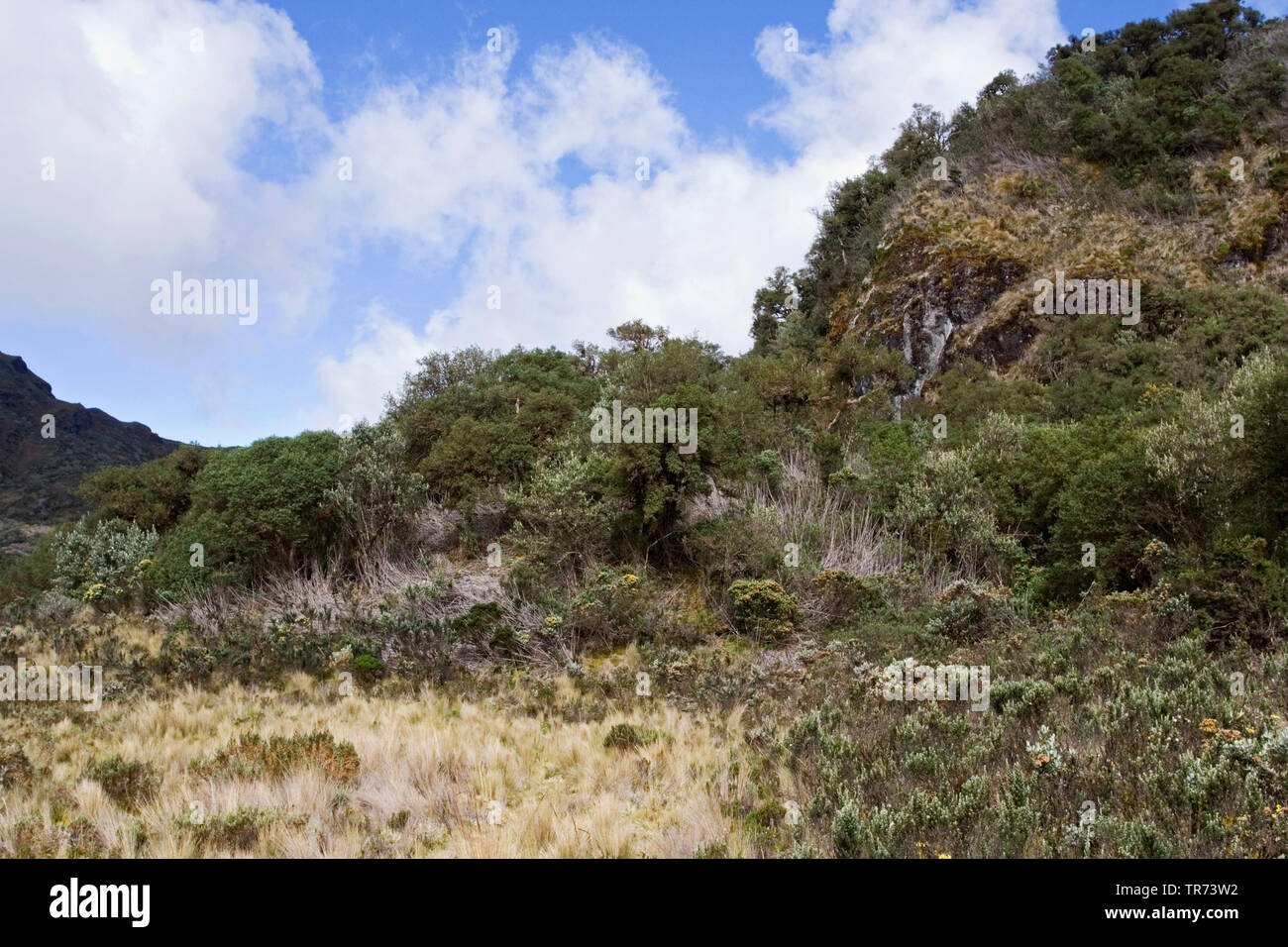 Papallacta, ecuador hi-res stock photography and images - Alamy