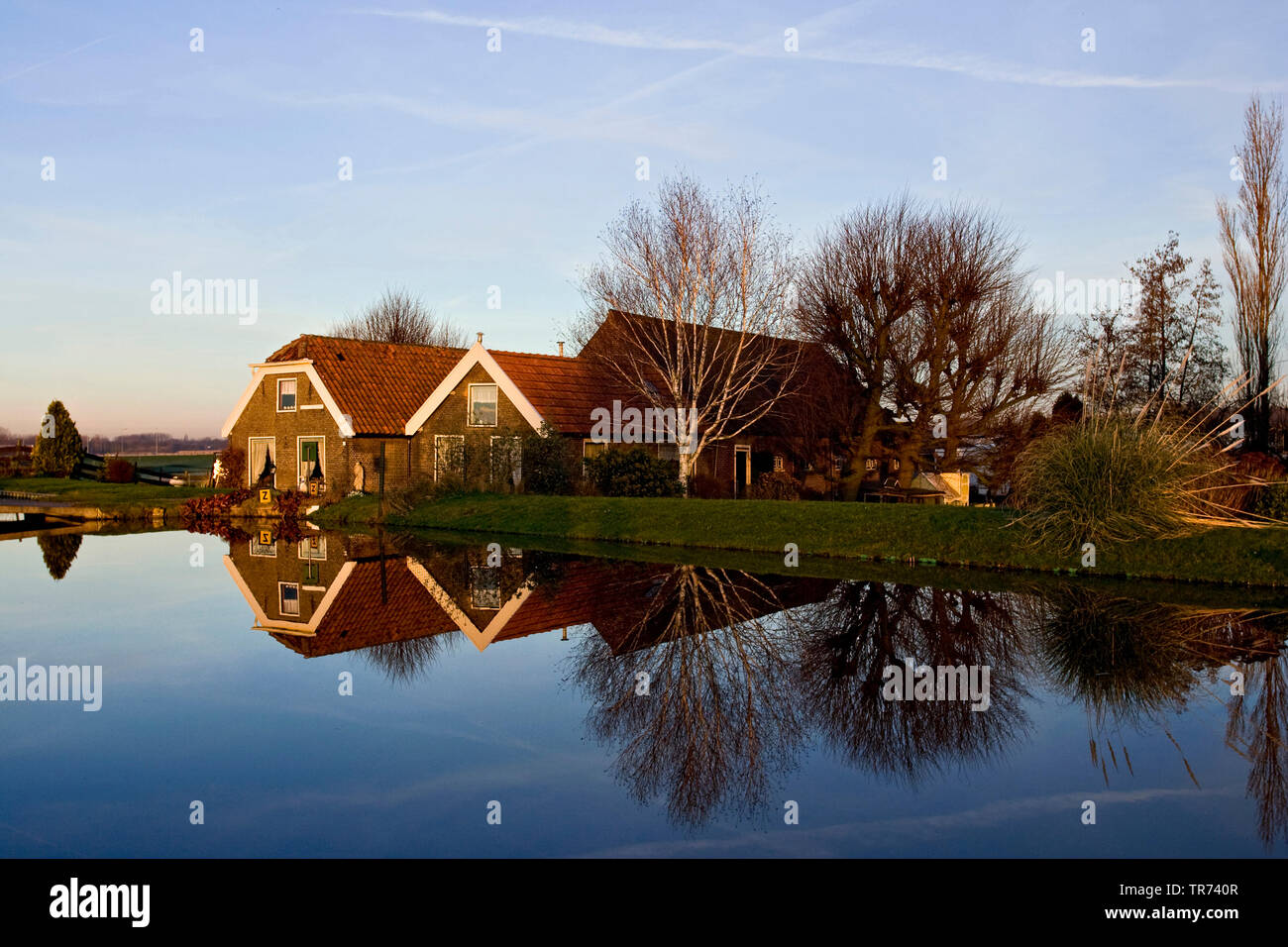 Dutch farm at Stompwijk, Netherlands Stock Photo - Alamy