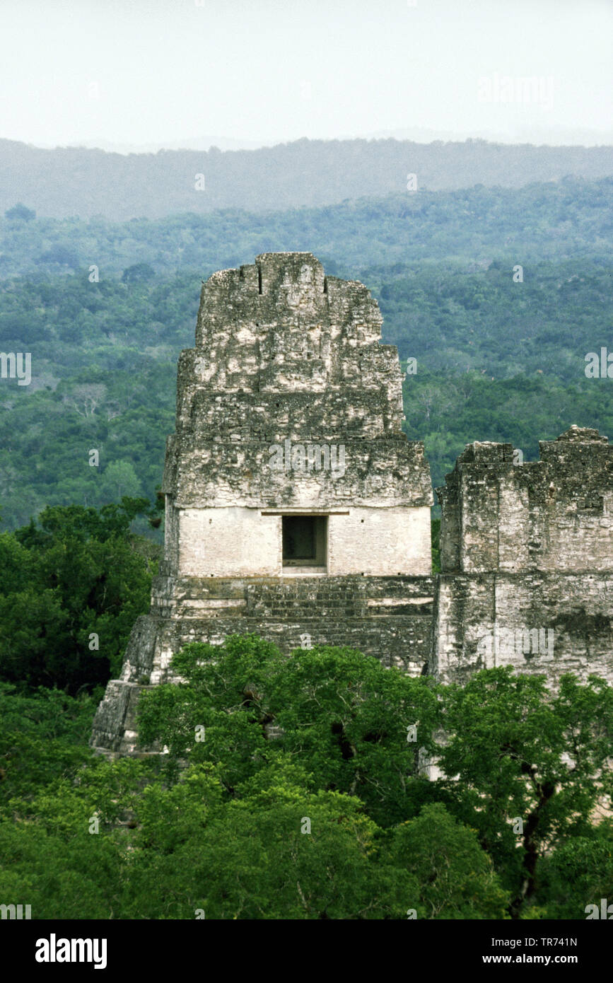 Temple at Tikal, Guatemala, Tikal Stock Photo - Alamy