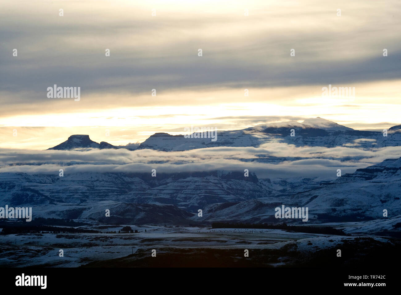 Underberg in snow, Drakensbergen, South Africa Stock Photo - Alamy