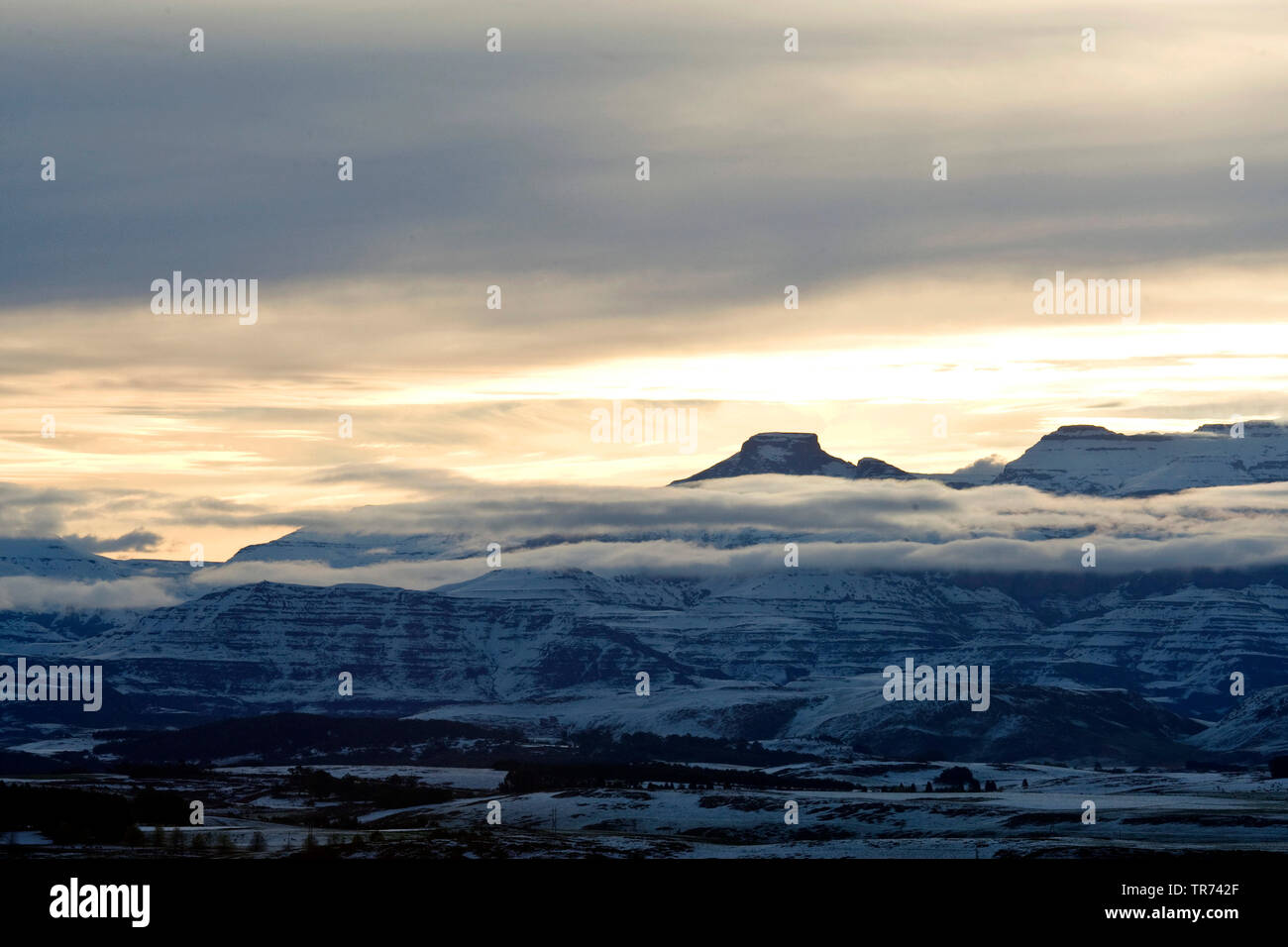 Underberg in snow, Drakensbergen, South Africa Stock Photo - Alamy
