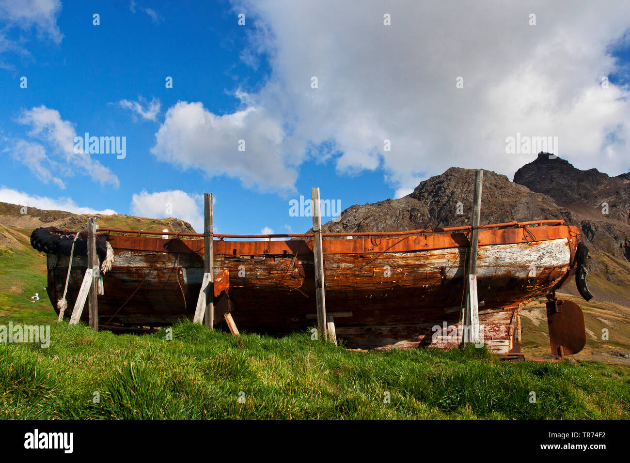 wreck of a wahle boat, Suedgeorgien, Grytviken Stock Photo - Alamy