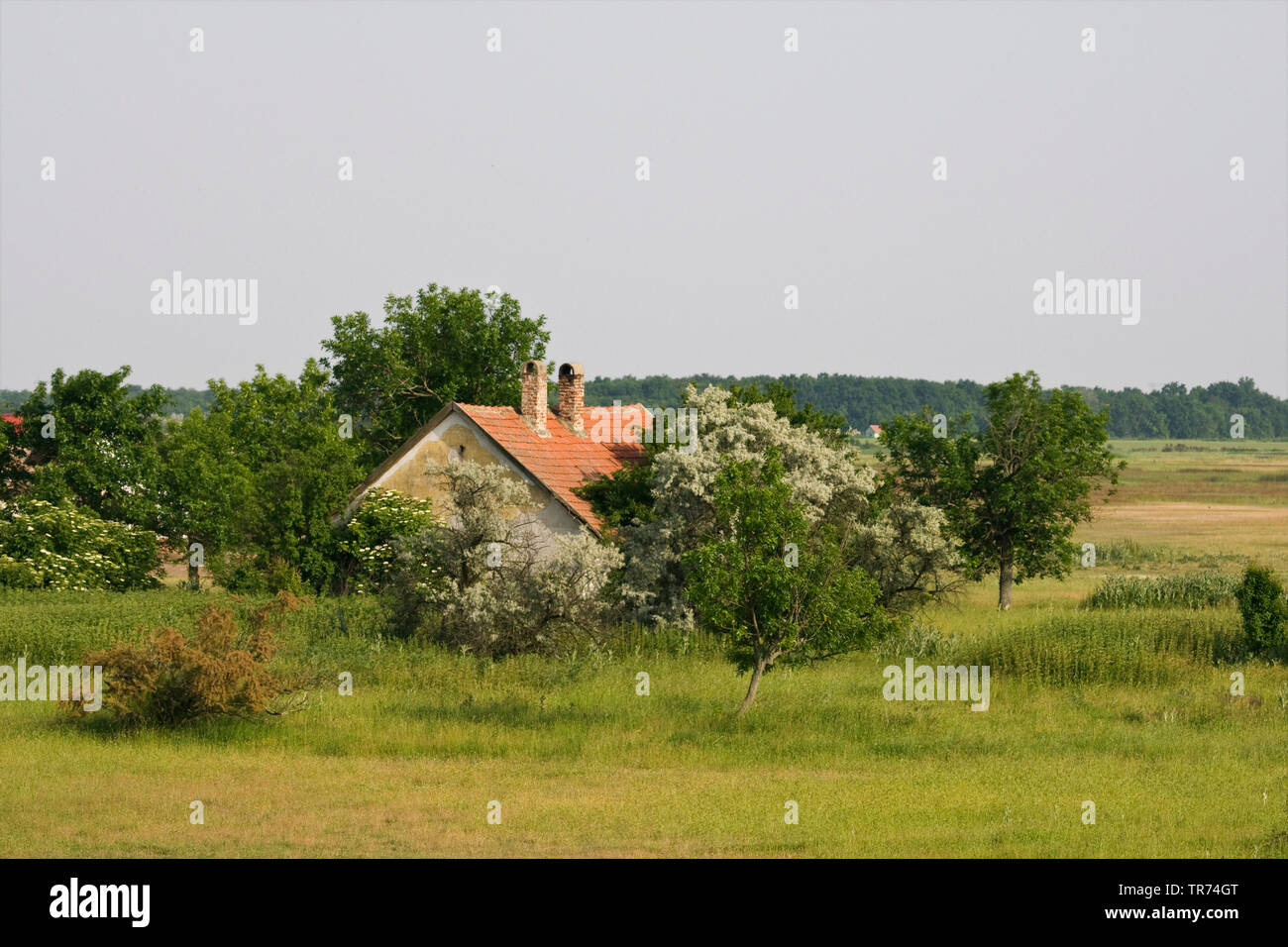 Farm at Hortobagy, Hungary, Hortobagy, Hortobagy National Park ...