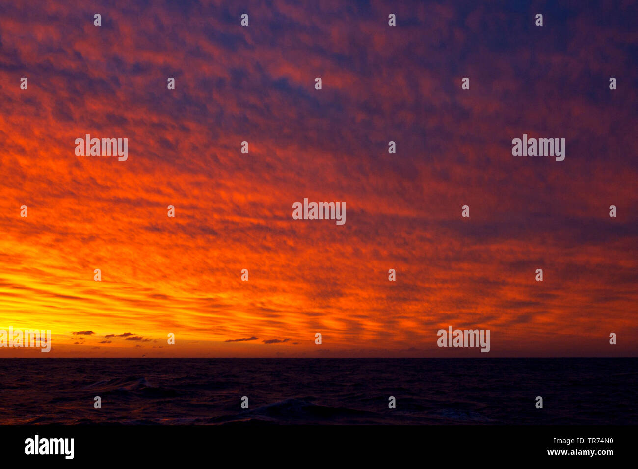 Southern ocean sea hi-res stock photography and images - Alamy