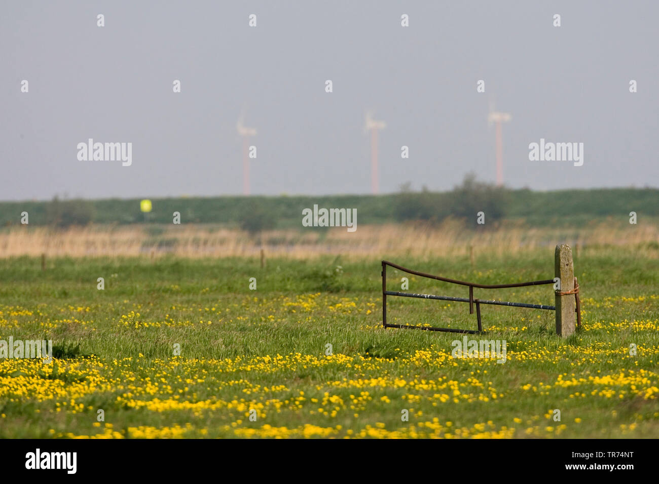 Pasture gates hi-res stock photography and images - Alamy