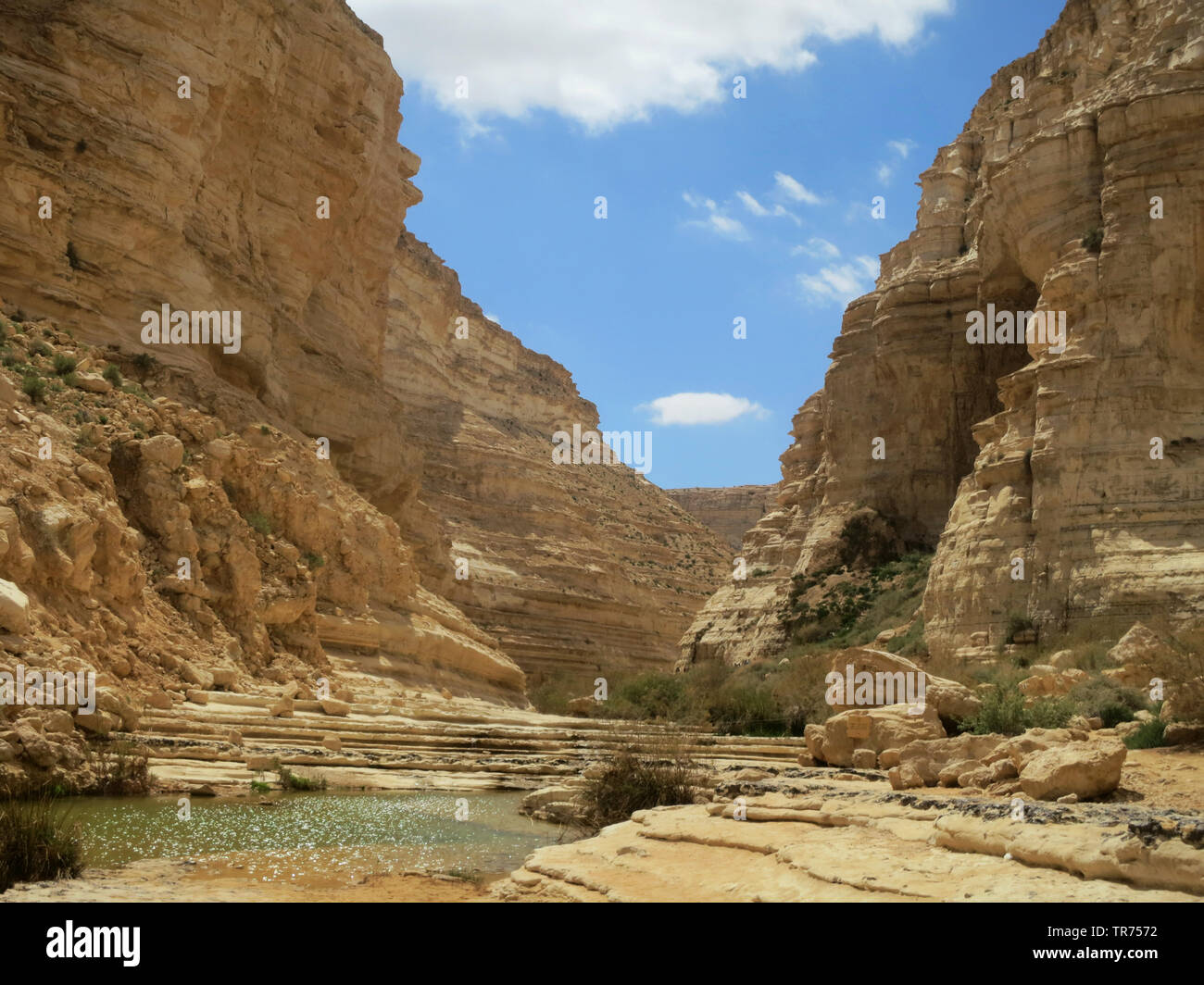 Wadi negev desert hi-res stock photography and images - Alamy