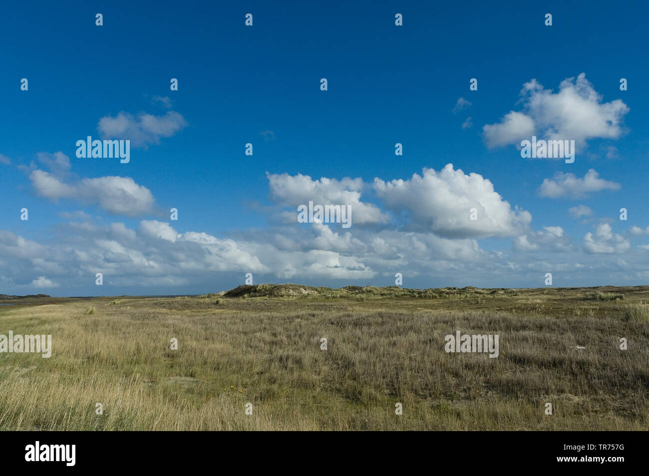 Dunse hi-res stock photography and images - Alamy