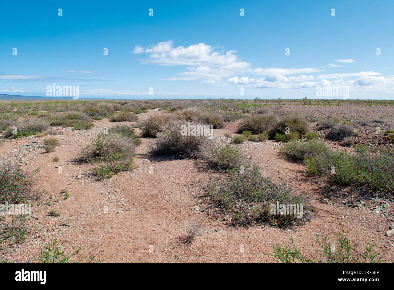Plain landscape hi-res stock photography and images - Alamy