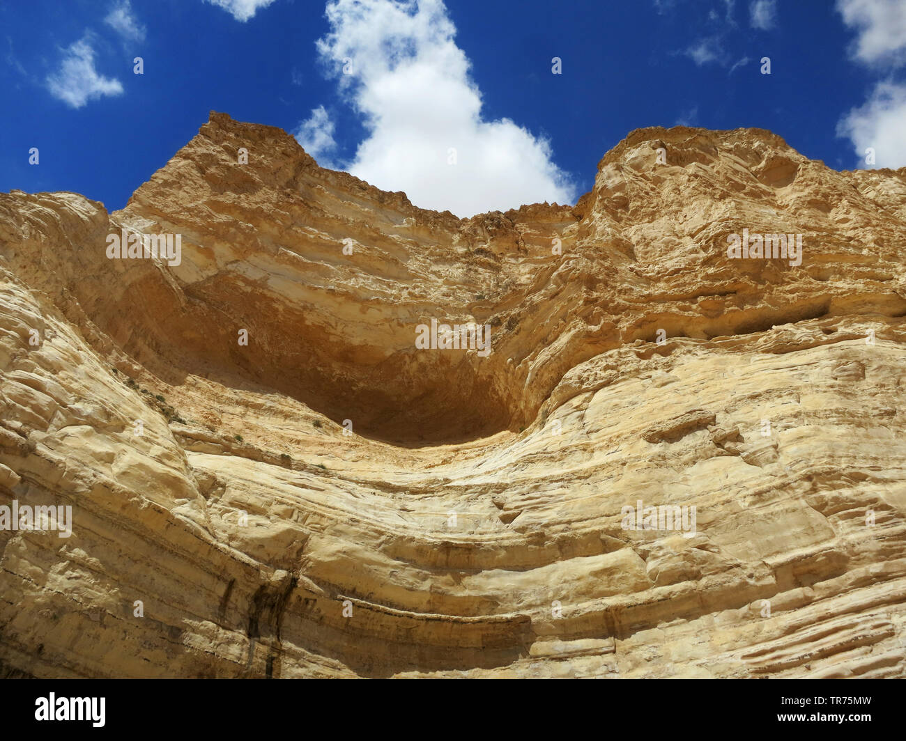Avdat High Resolution Stock Photography and Images - Alamy