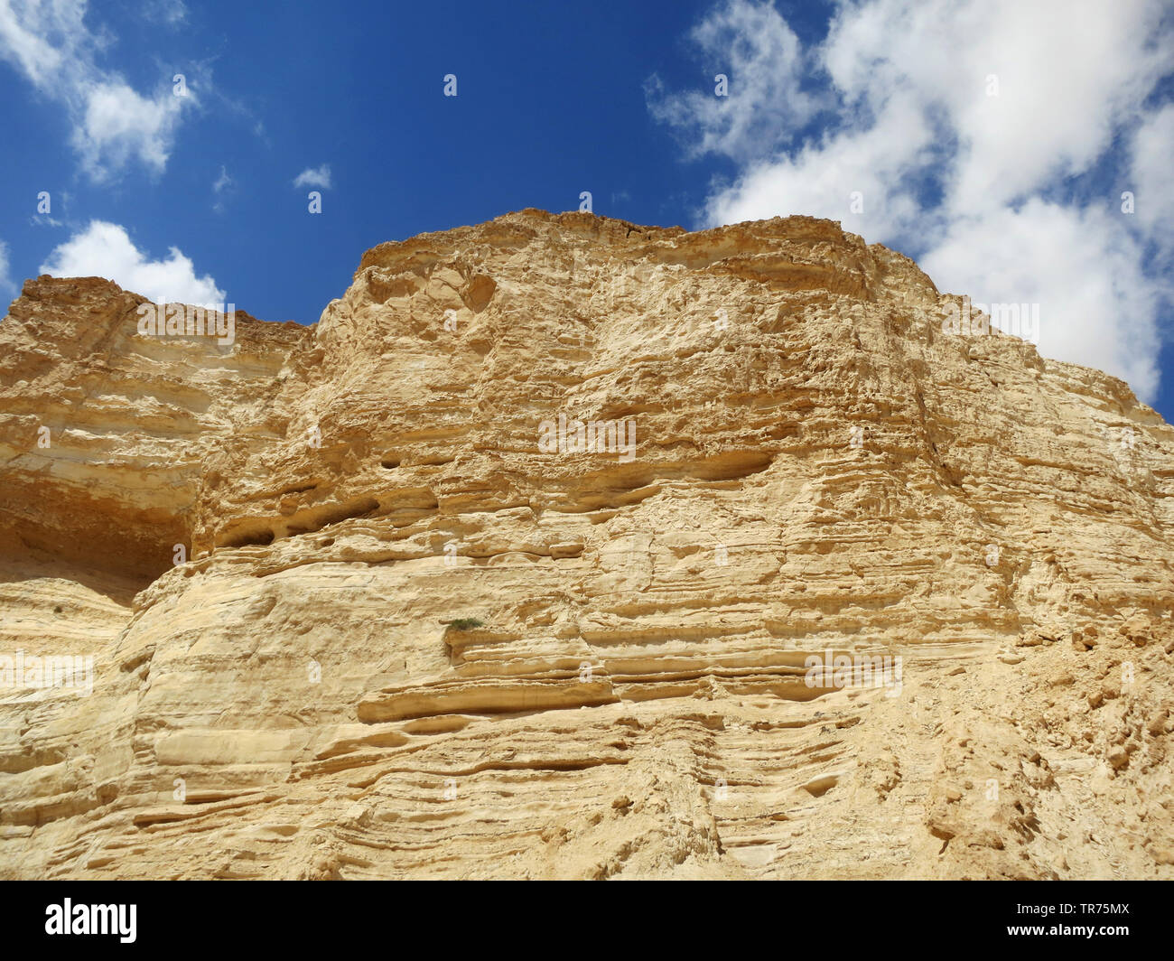 Wadi negev desert hi-res stock photography and images - Alamy
